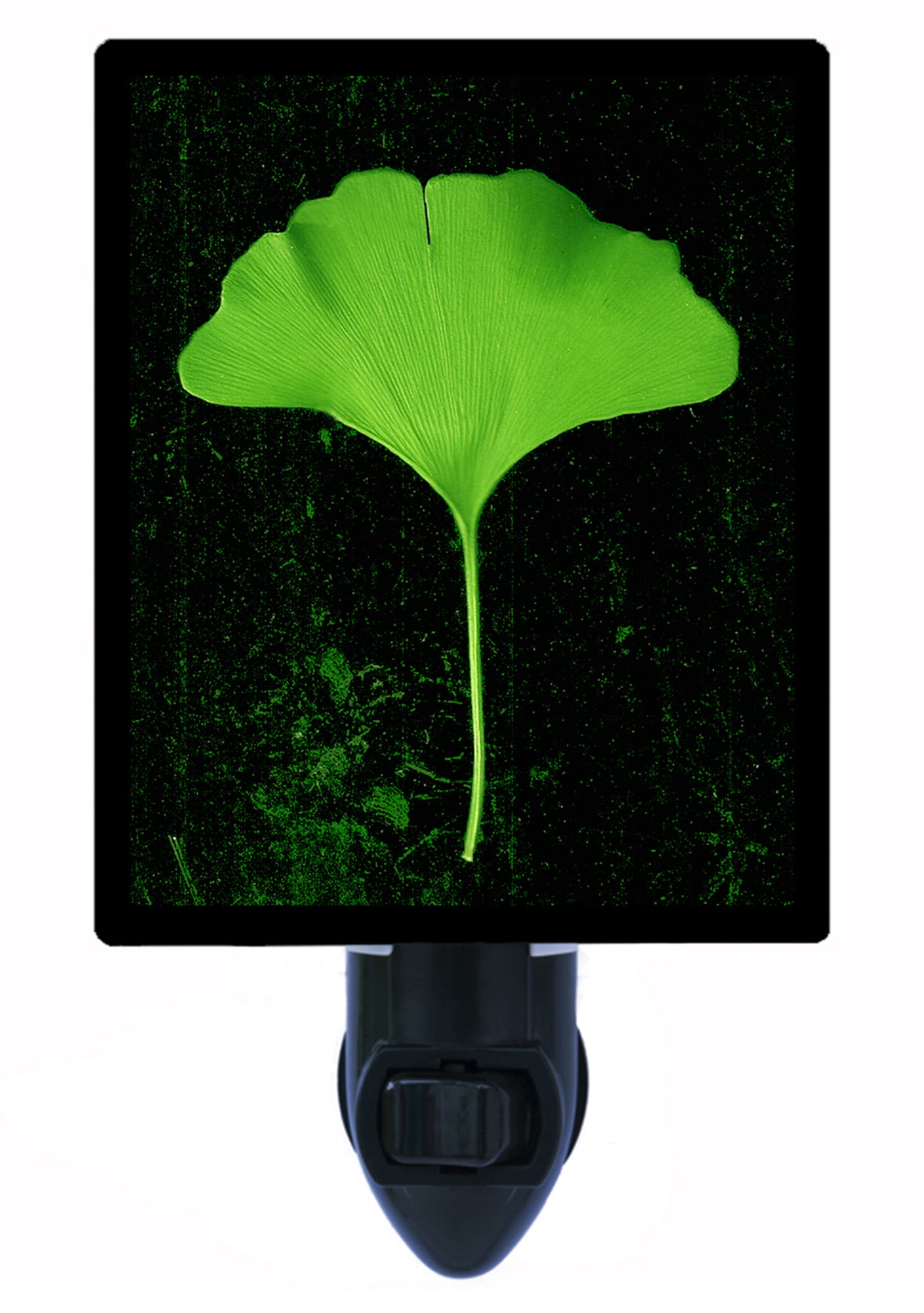 Night Light Plus Extra Free Switchable Insert. 4 Watt Bulb, E12 Base. Organics Ginkgo. - Walmart.com