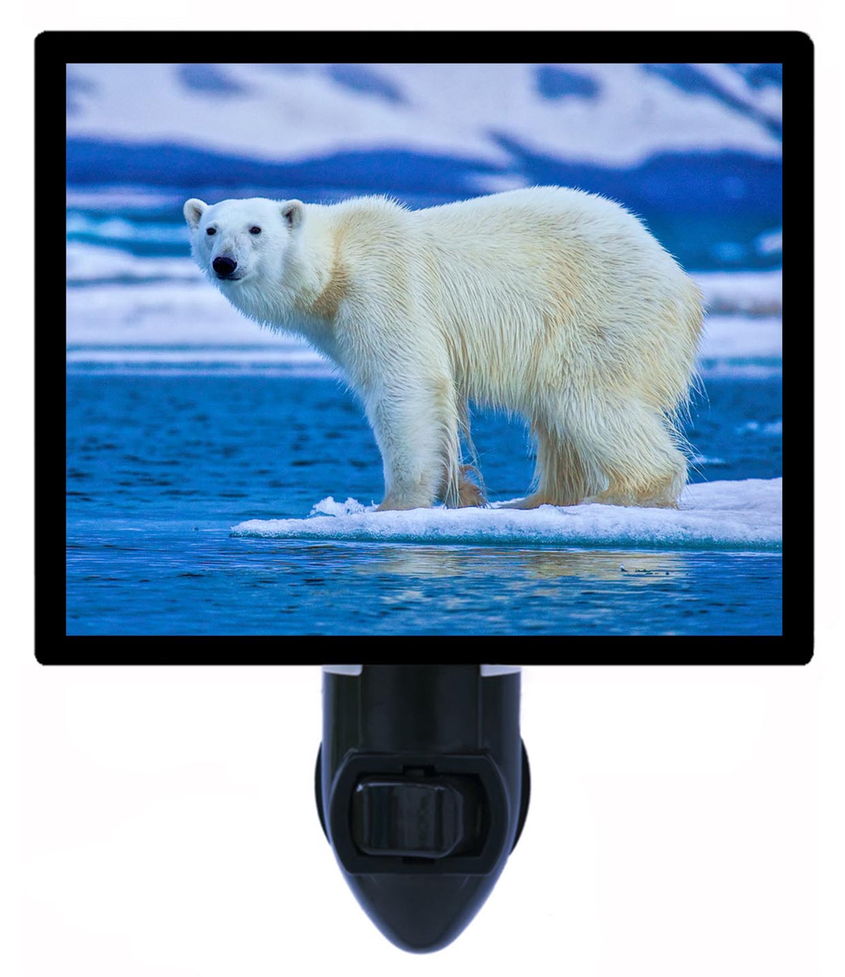 Night Light Plus Extra Free Switchable Insert. 4 Watt Bulb, E12 Base ...