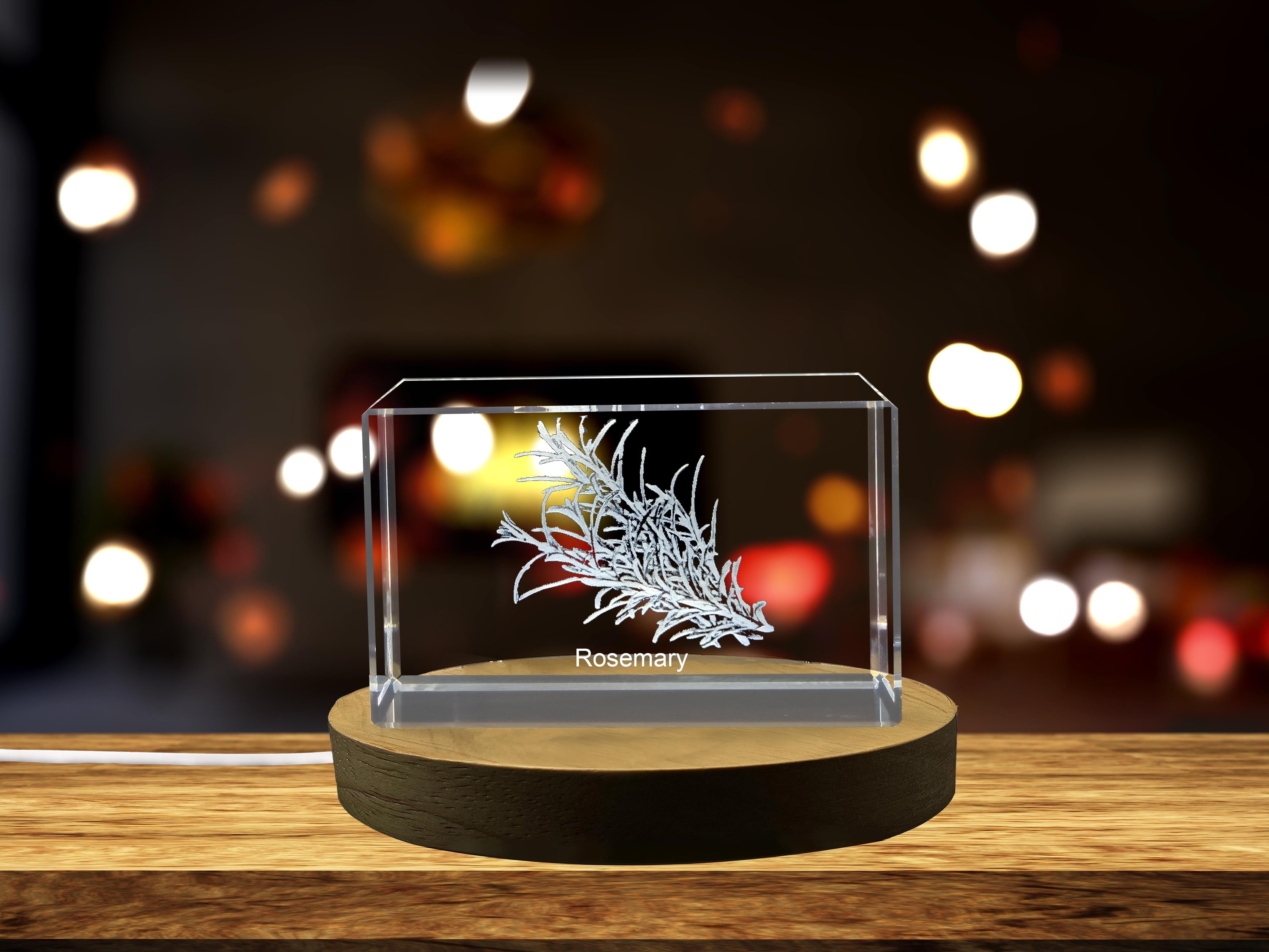 Decorative Rosemary Plant in Stunning 3D Crystal Engraved - Walmart.com