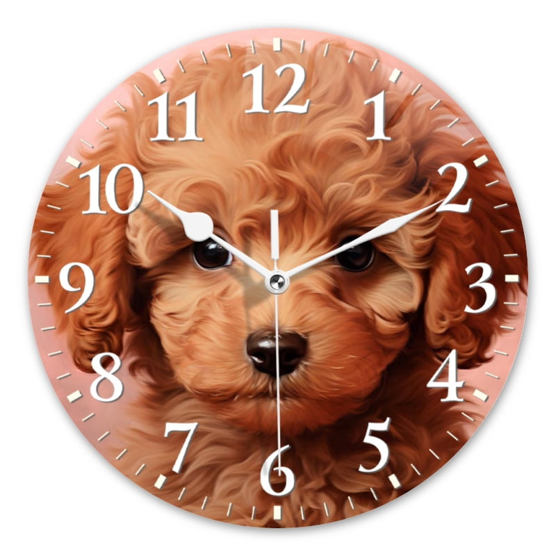 Round Wall Clock,Adorable Portrait Of Poodle Puppy,Silent Non-Ticking ...