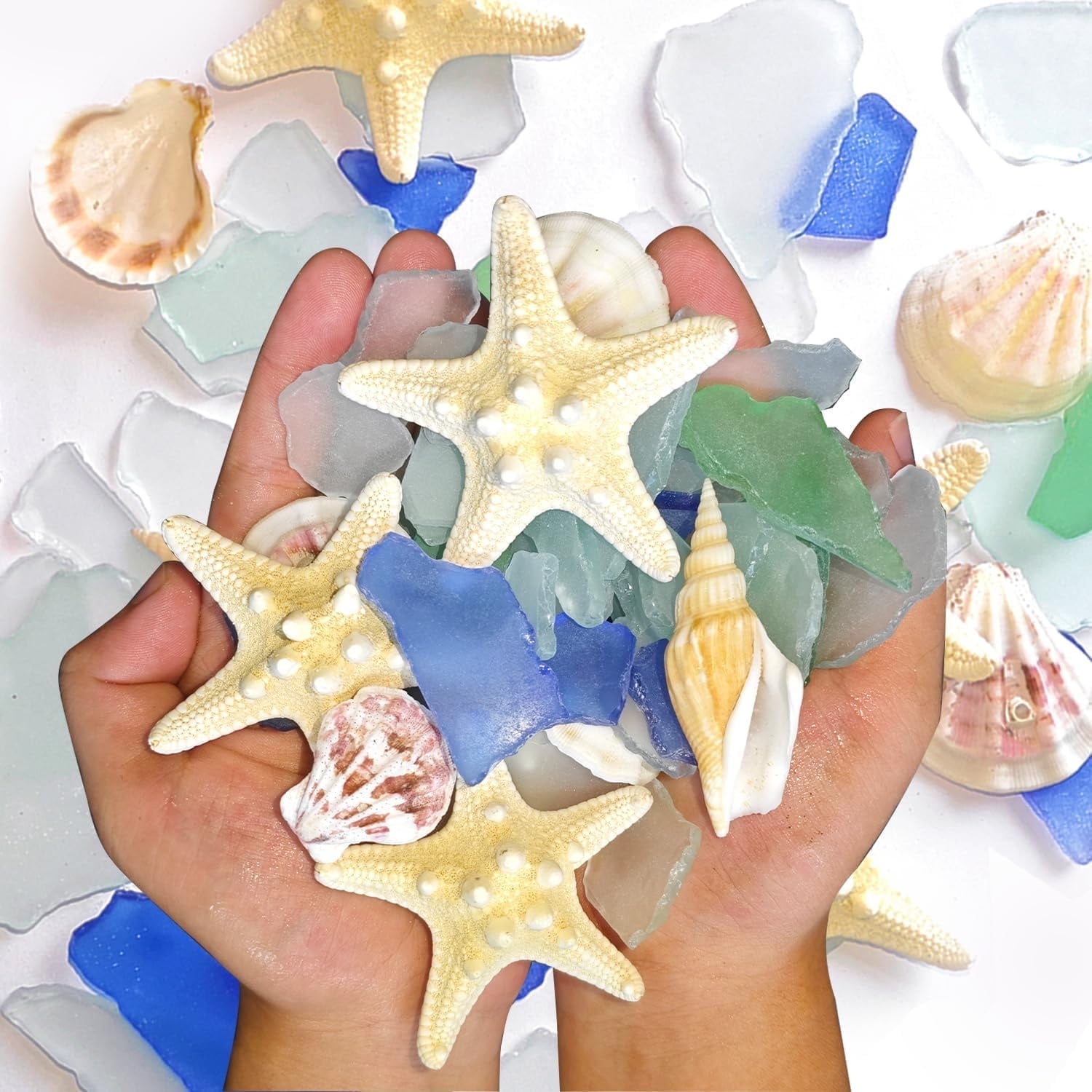 Decorative Sea Shells,Bexikou Mixed Beach Seashells with Starfish &Blue ...