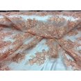 Decorative Silk Sequin lace Fabric with embroderies on mesh VT-012 (1 ...