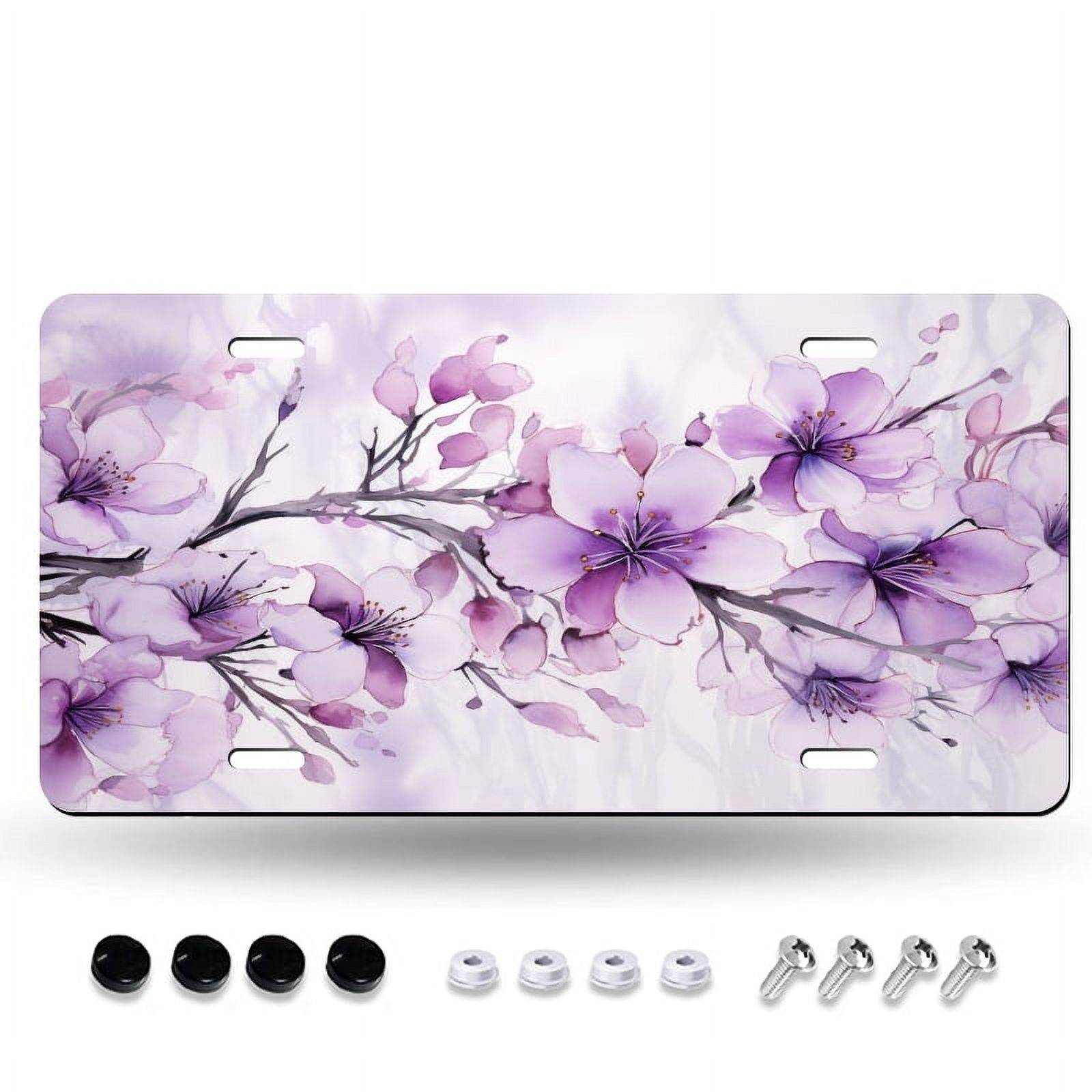 Decorative Stainless Steel License Plate Frame – Unique and Rust-Free ...