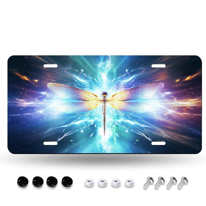 Decorative Stainless Steel License Plate Frame – Unique and Rust-Free ...