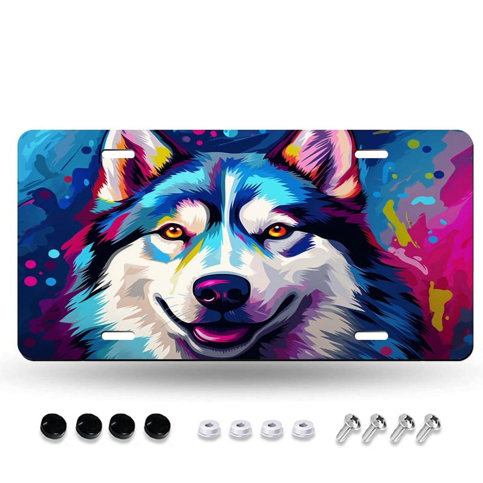 Decorative Stainless Steel License Plate Frame – Unique and Rust-Free ...