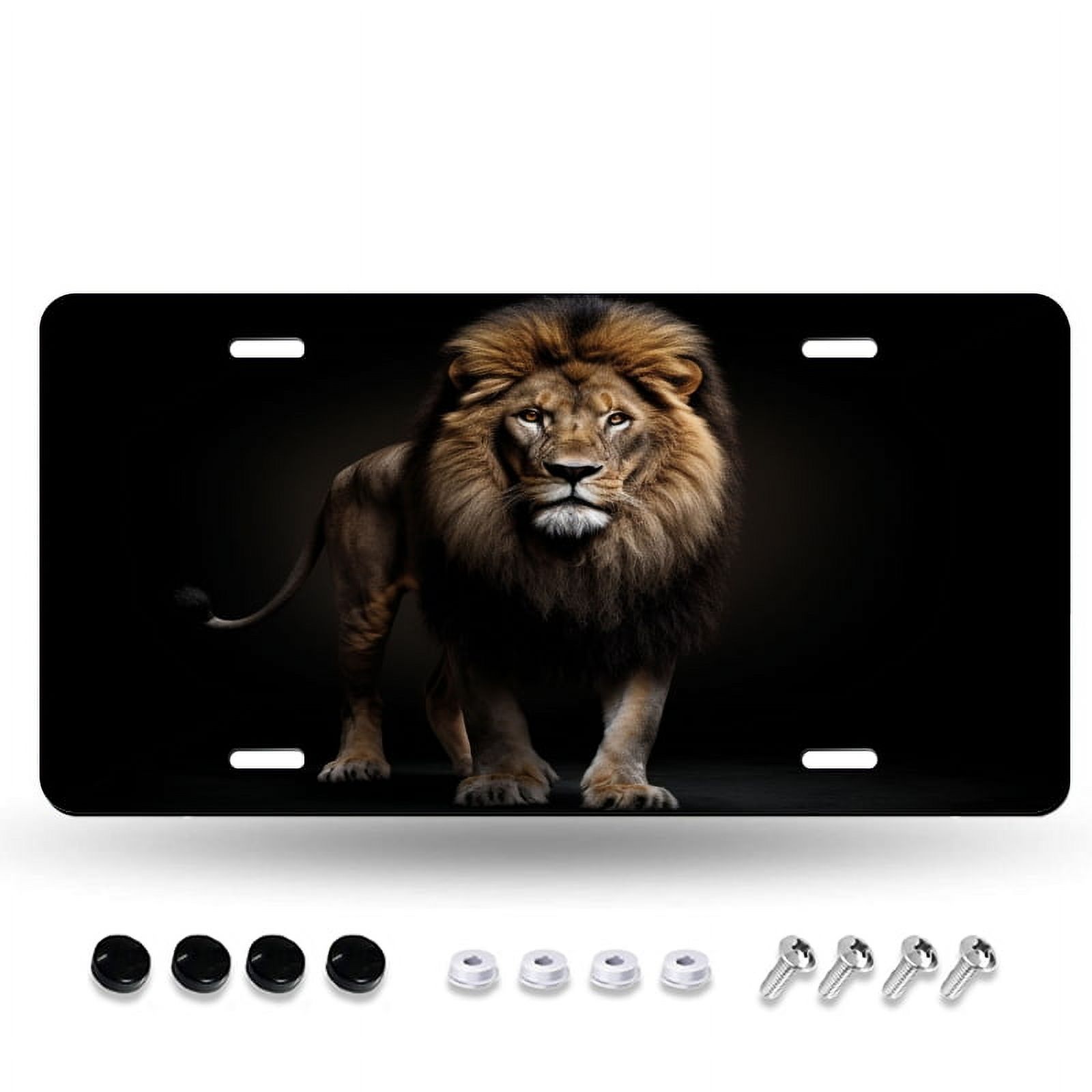 Decorative Stainless Steel License Plate Frame – Unique and Rust-Free ...