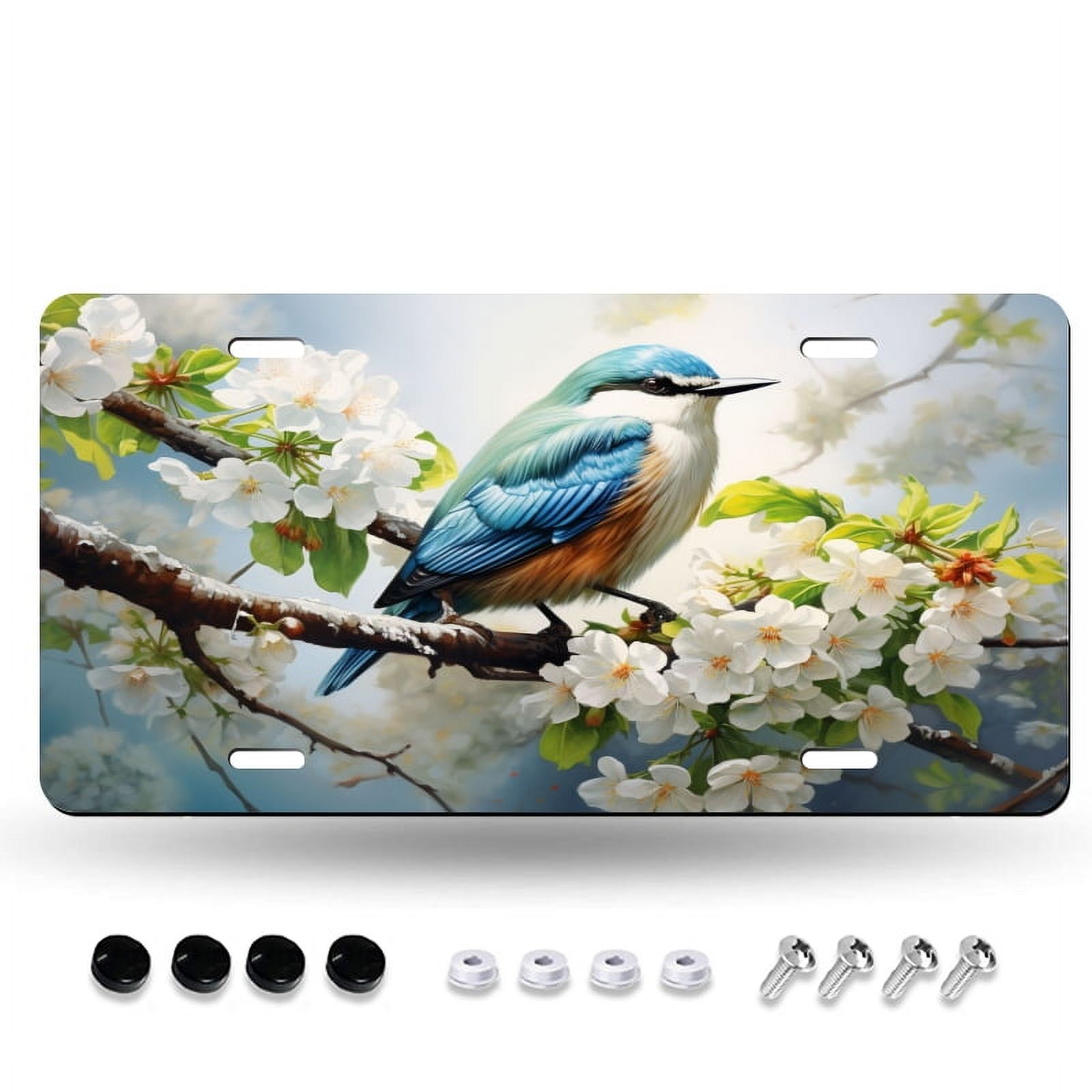 Decorative Stainless Steel License Plate Frame – Unique and Rust-Free ...