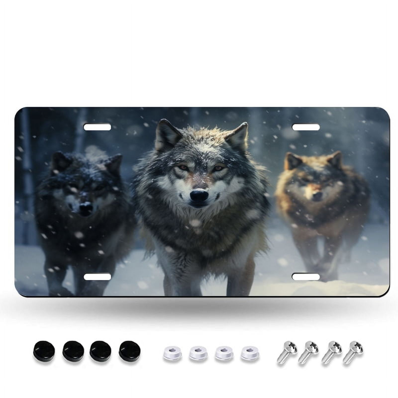 Decorative Stainless Steel License Plate Frame – Unique and Rust-Free ...
