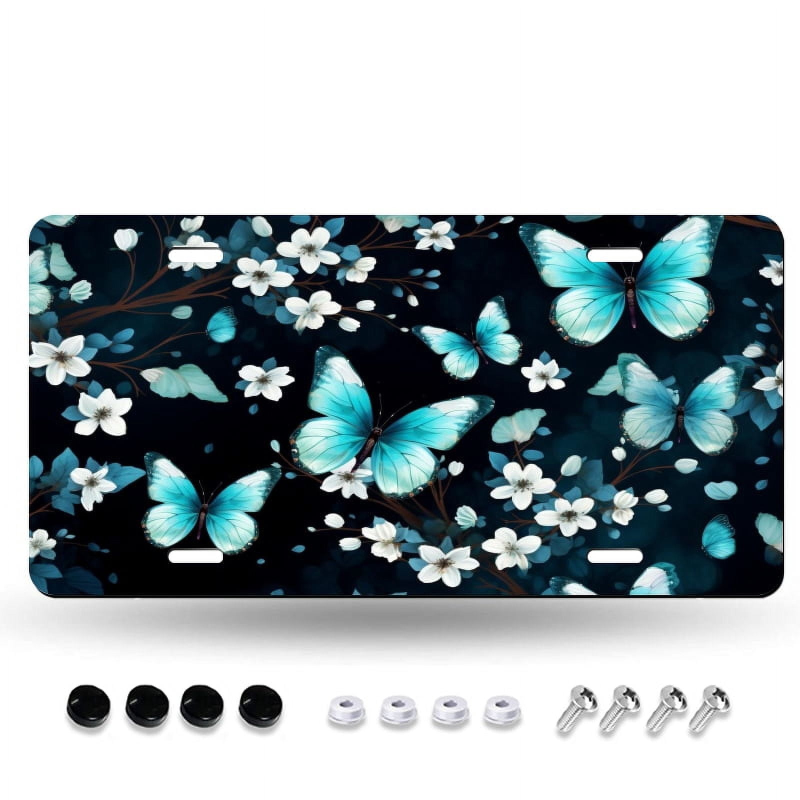 Decorative Stainless Steel License Plate Frame – Unique and Rust-Free ...