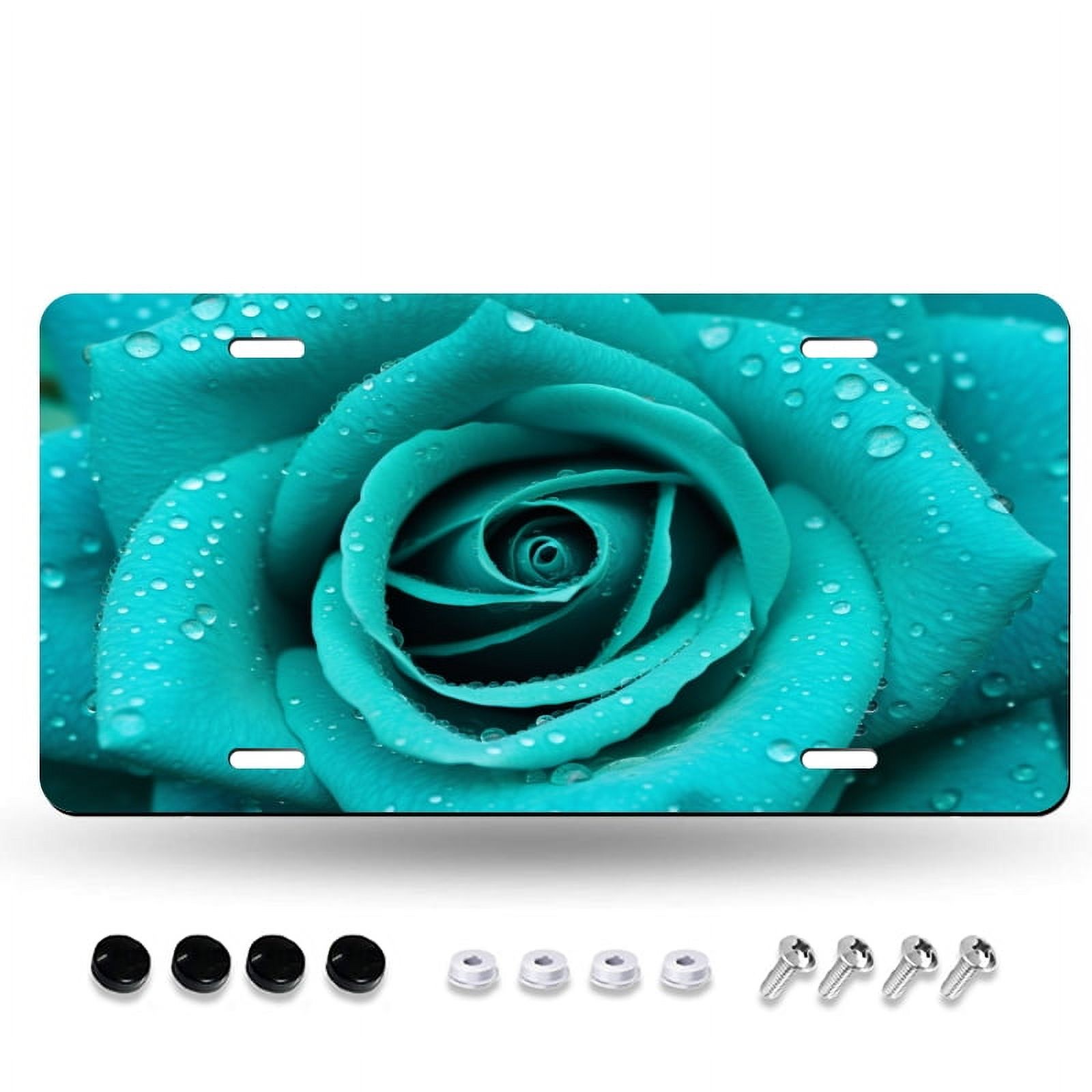 Decorative Stainless Steel License Plate Frame – Unique and Rust-Free ...