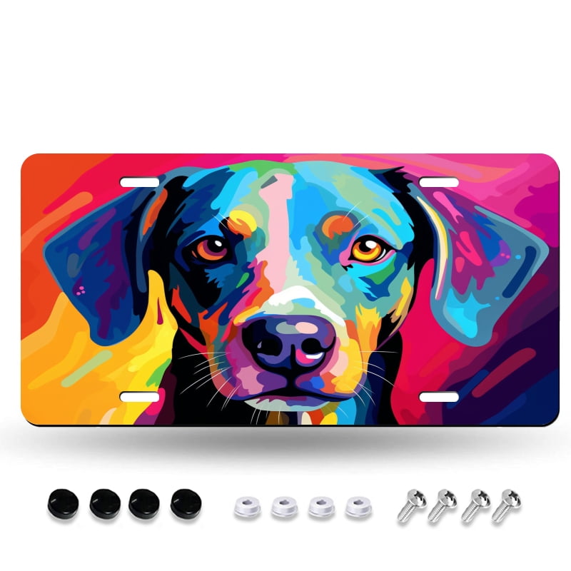 Decorative Stainless Steel License Plate Frame – Unique and Rust-Free ...