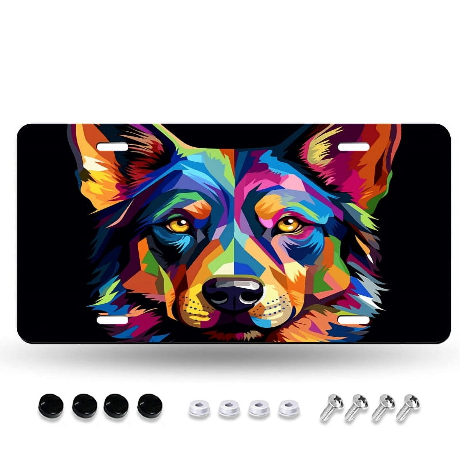 Decorative Stainless Steel License Plate Frame – Unique and Rust-Free ...