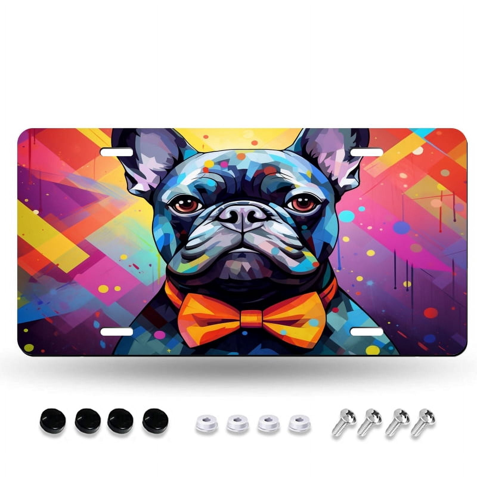 Decorative Stainless Steel License Plate Frame – Unique and Rust-Free ...