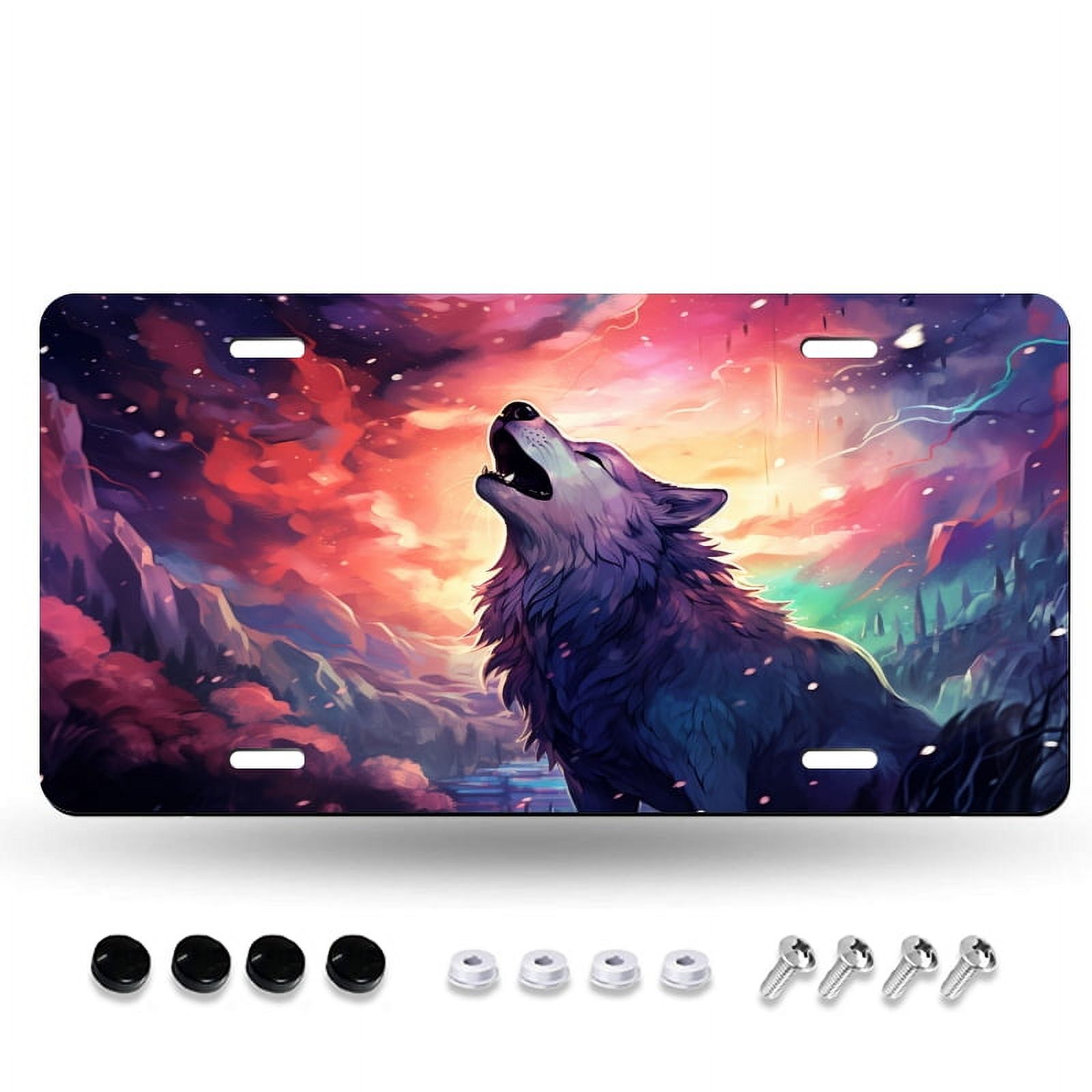 Decorative Stainless Steel License Plate Frame – Unique and Rust-Free ...