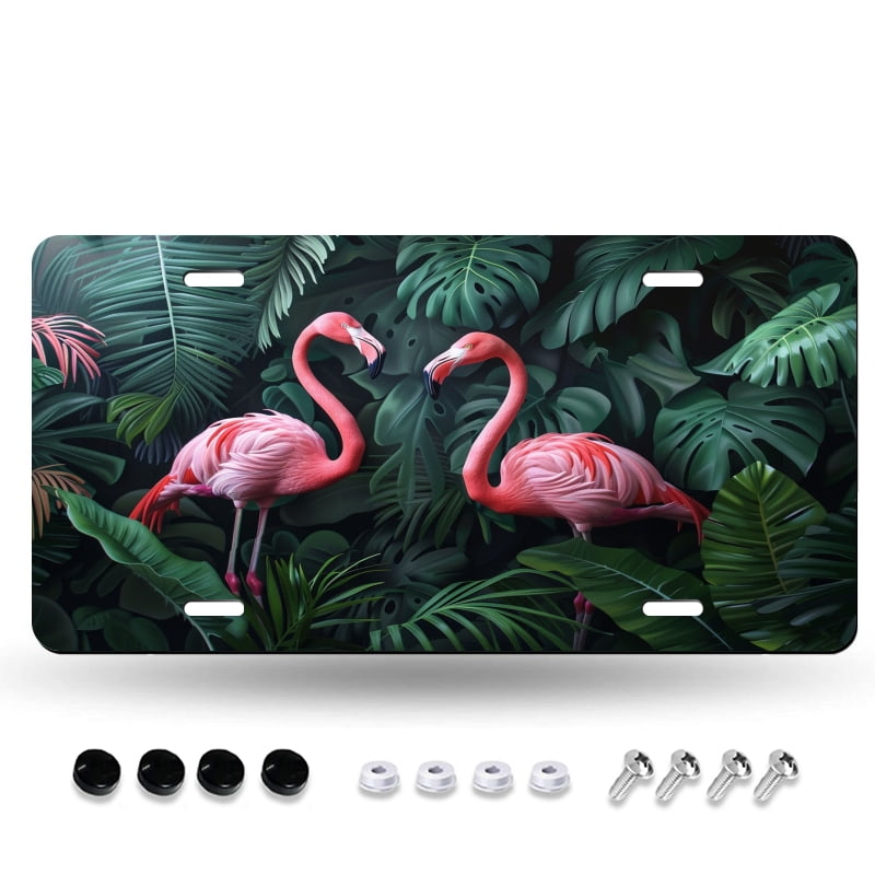 Decorative Stainless Steel License Plate Frame – Unique and Rust-Free ...