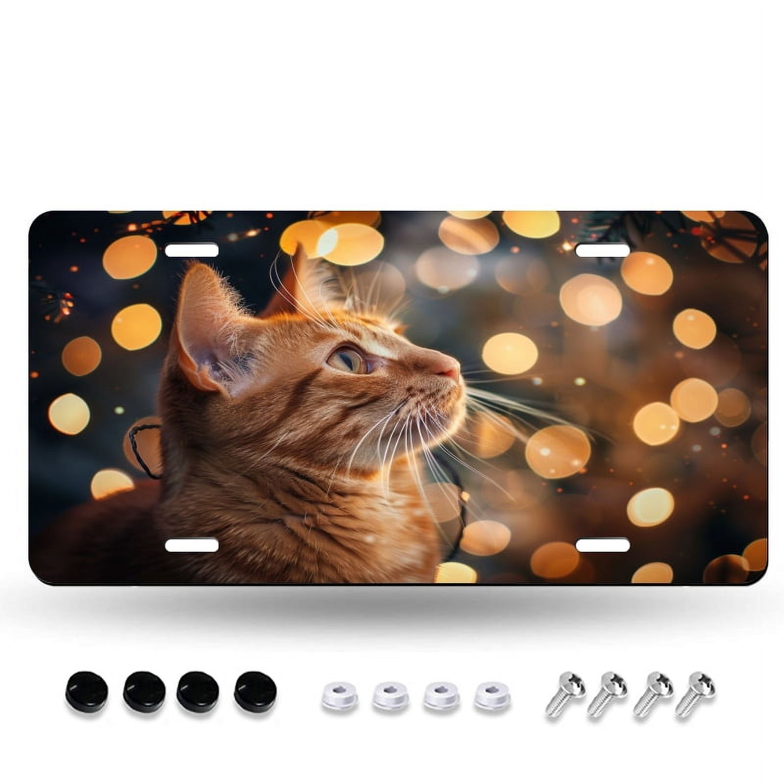 Decorative Stainless Steel License Plate Frame – Unique and Rust-Free ...