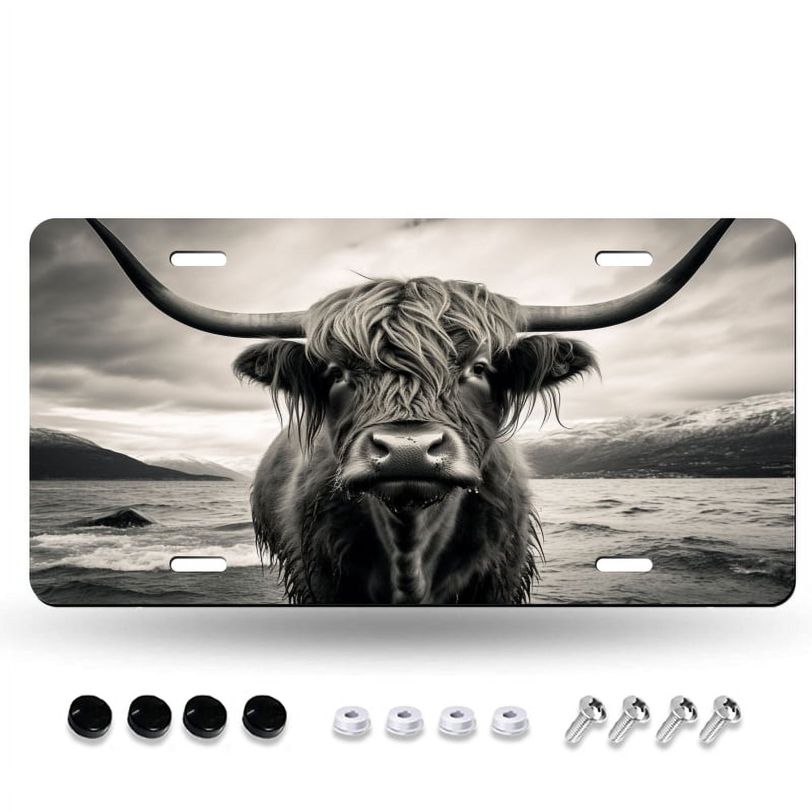 Decorative Stainless Steel License Plate Frame – Unique and Rust-Free ...