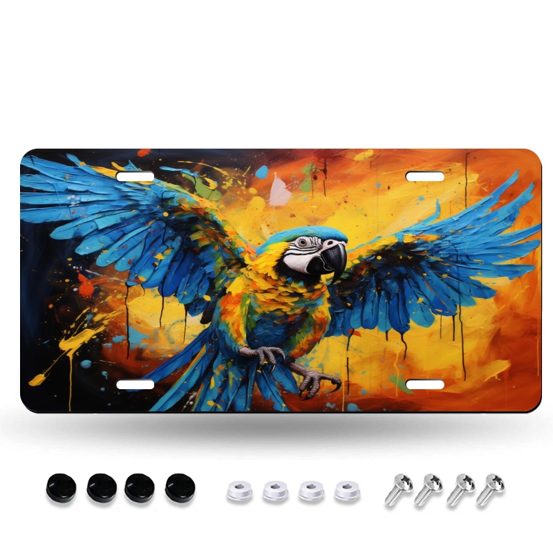 Decorative Stainless Steel License Plate Frame – Unique and Rust-Free ...