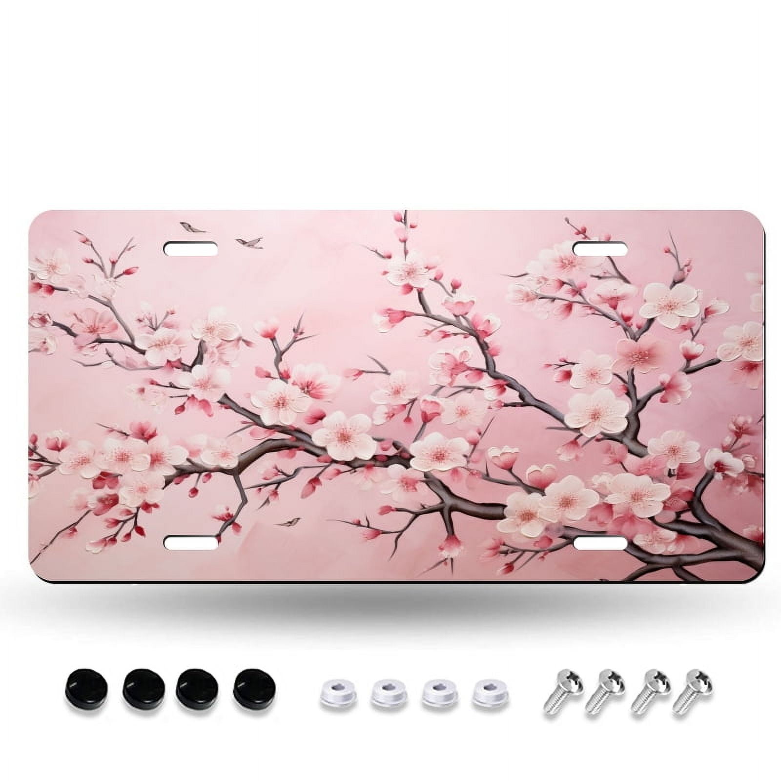 Decorative Stainless Steel License Plate Frame – Unique and Rust-Free ...