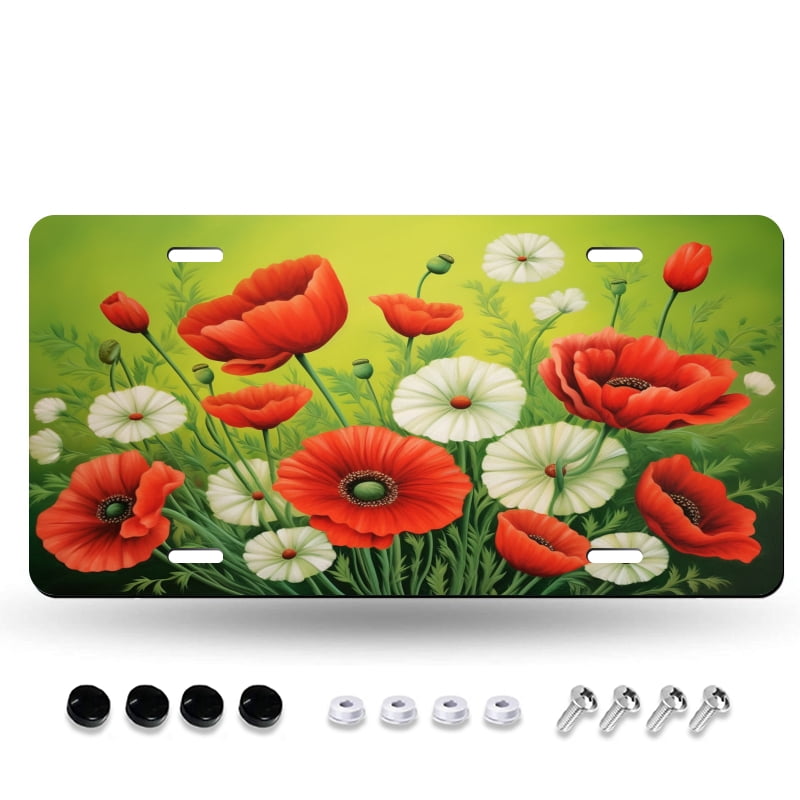 Decorative Stainless Steel License Plate Frame – Unique and Rust-Free ...
