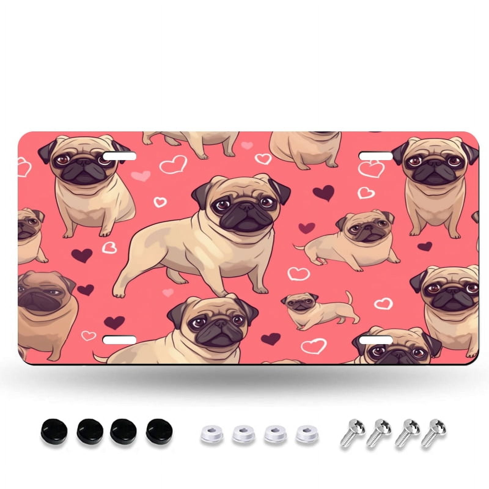 Decorative Stainless Steel License Plate Frame – Unique and Rust-Free ...