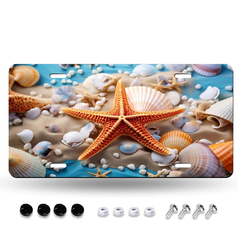 Decorative Stainless Steel License Plate Frame – Unique and Rust-Free ...