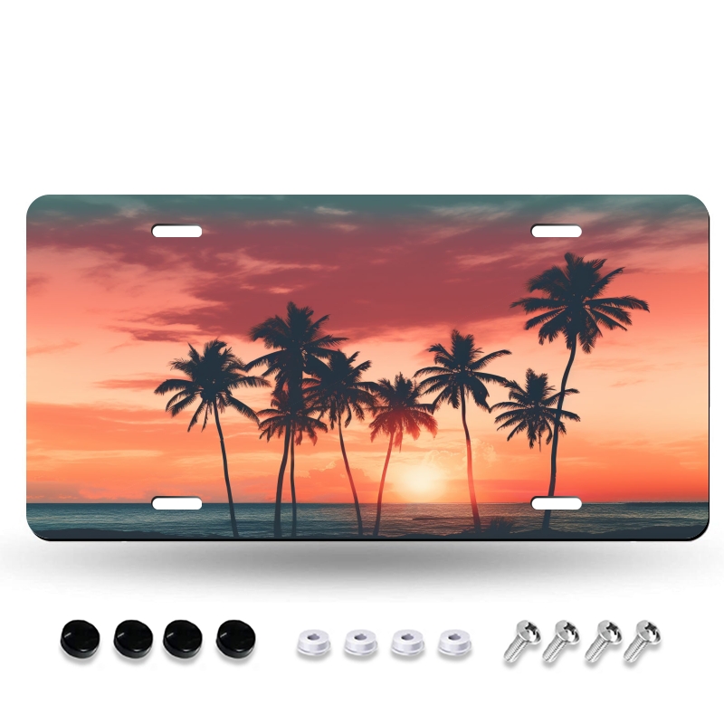 Decorative Stainless Steel License Plate Frame – Unique and Rust-Free ...