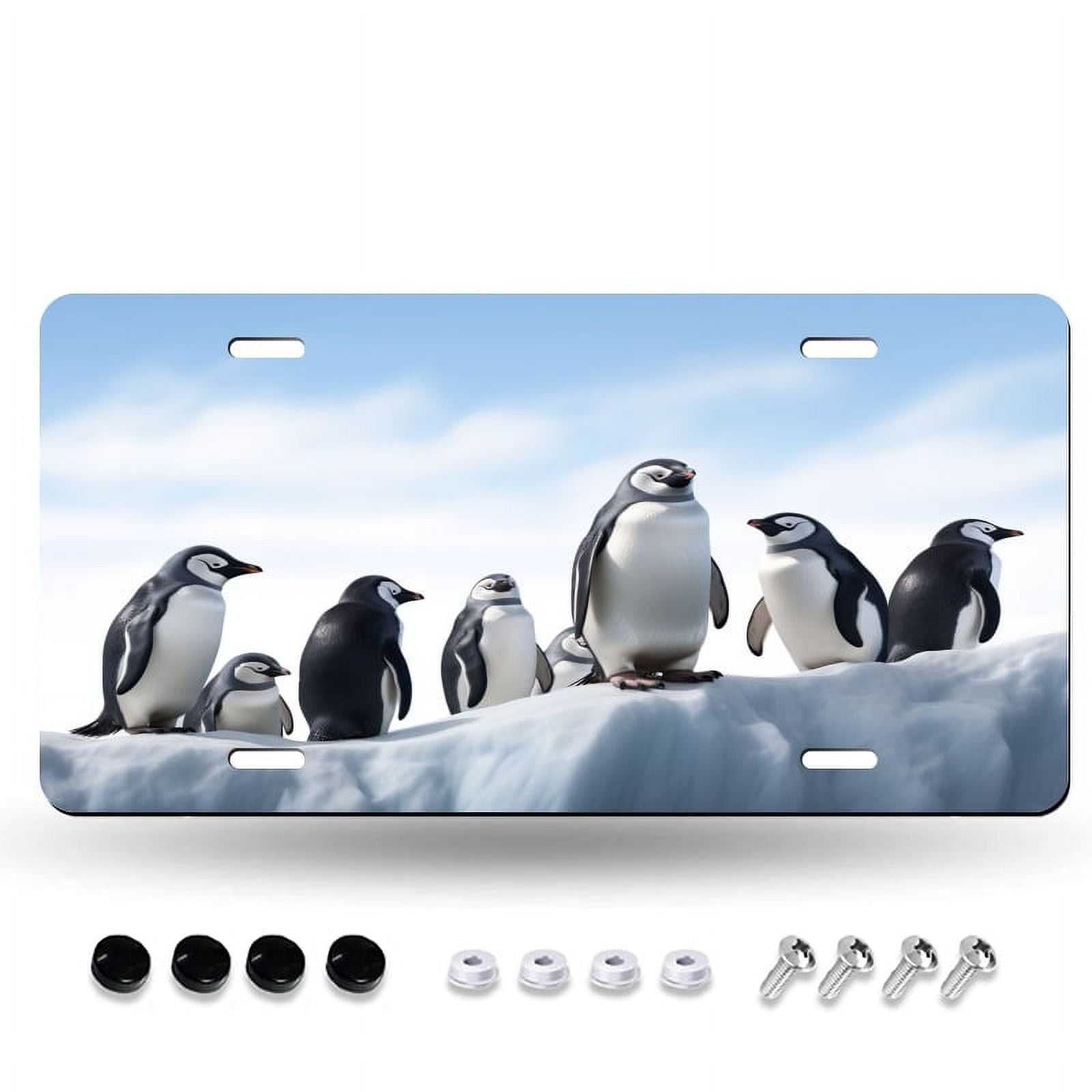 Decorative Stainless Steel License Plate Frame – Unique and Rust-Free ...