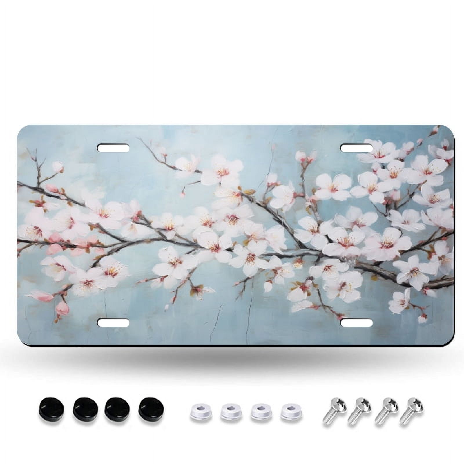 Decorative Stainless Steel License Plate Frame – Unique and Rust-Free ...