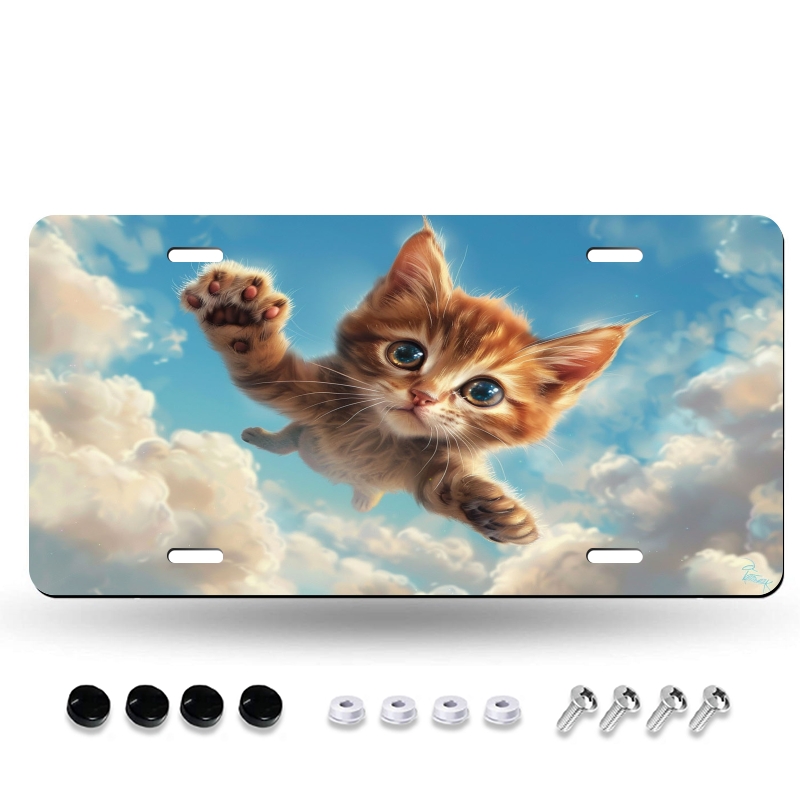 Decorative Stainless Steel License Plate Frame – Unique and Rust-Free ...