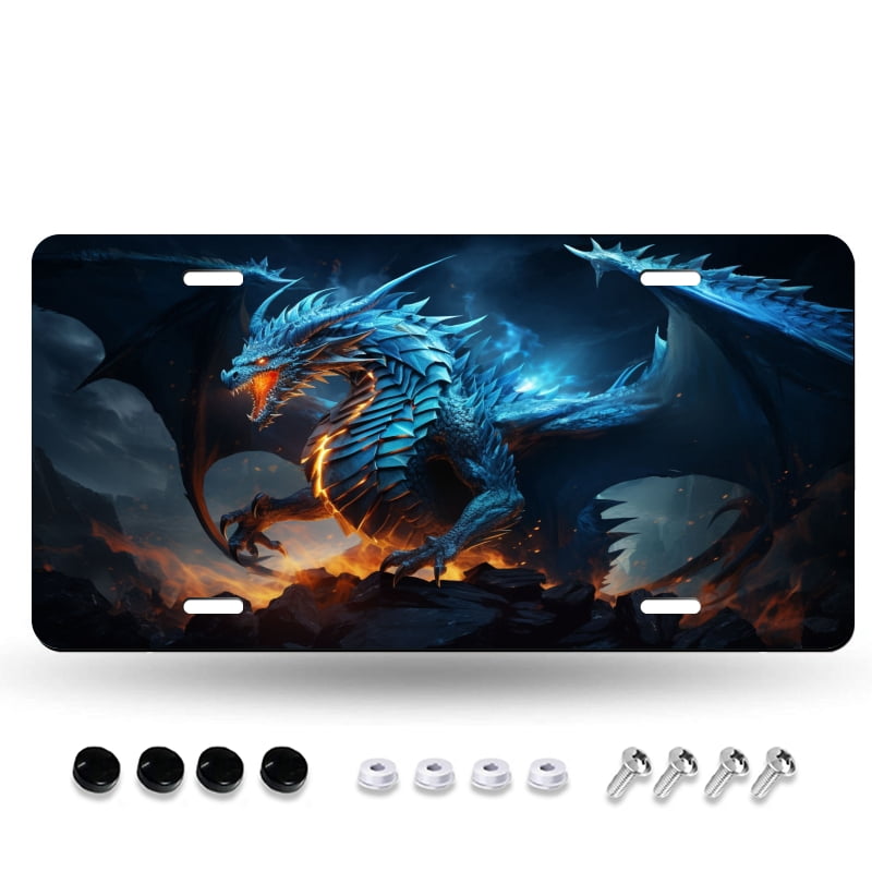 Decorative Stainless Steel License Plate Frame – Unique and Rust-Free ...