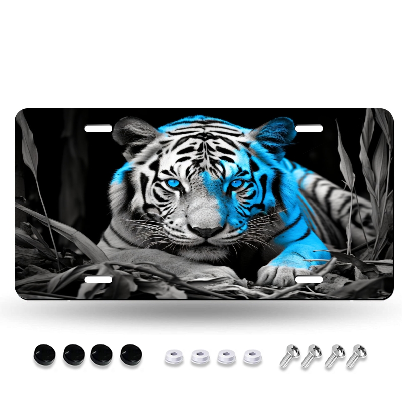 Decorative Stainless Steel License Plate Frame – Unique and Rust-Free ...