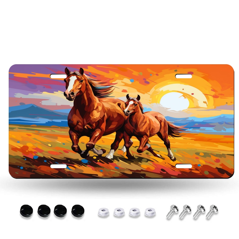 Decorative Stainless Steel License Plate Frame – Unique and Rust-Free ...