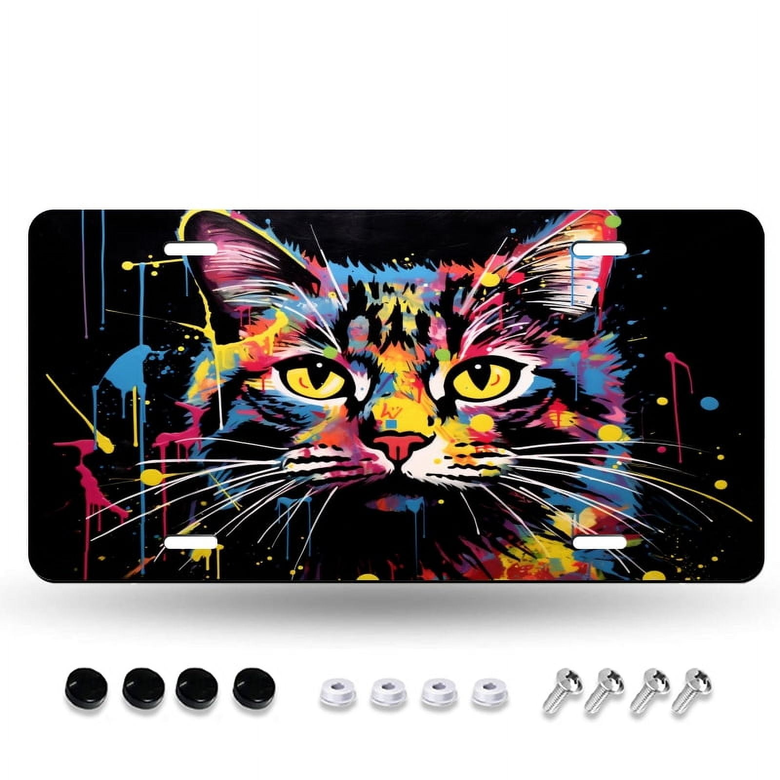 Decorative Stainless Steel License Plate Frame – Unique and Rust-Free ...