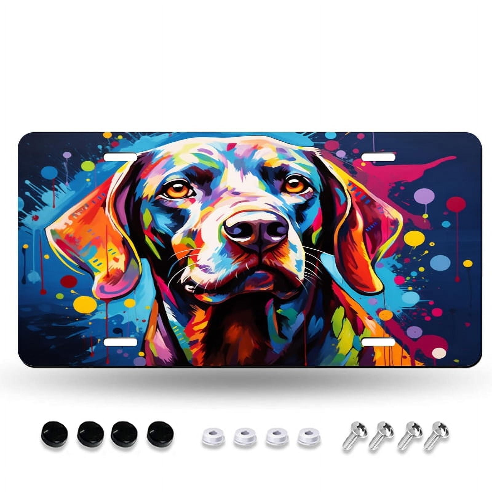 Decorative Stainless Steel License Plate Frame – Unique and Rust-Free ...