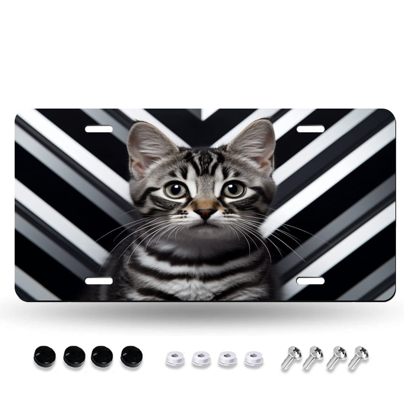 Decorative Stainless Steel License Plate Frame – Unique and Rust-Free ...