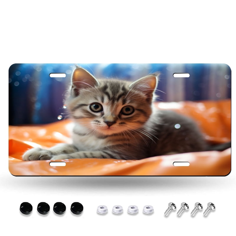 Decorative Stainless Steel License Plate Frame – Unique and Rust-Free ...