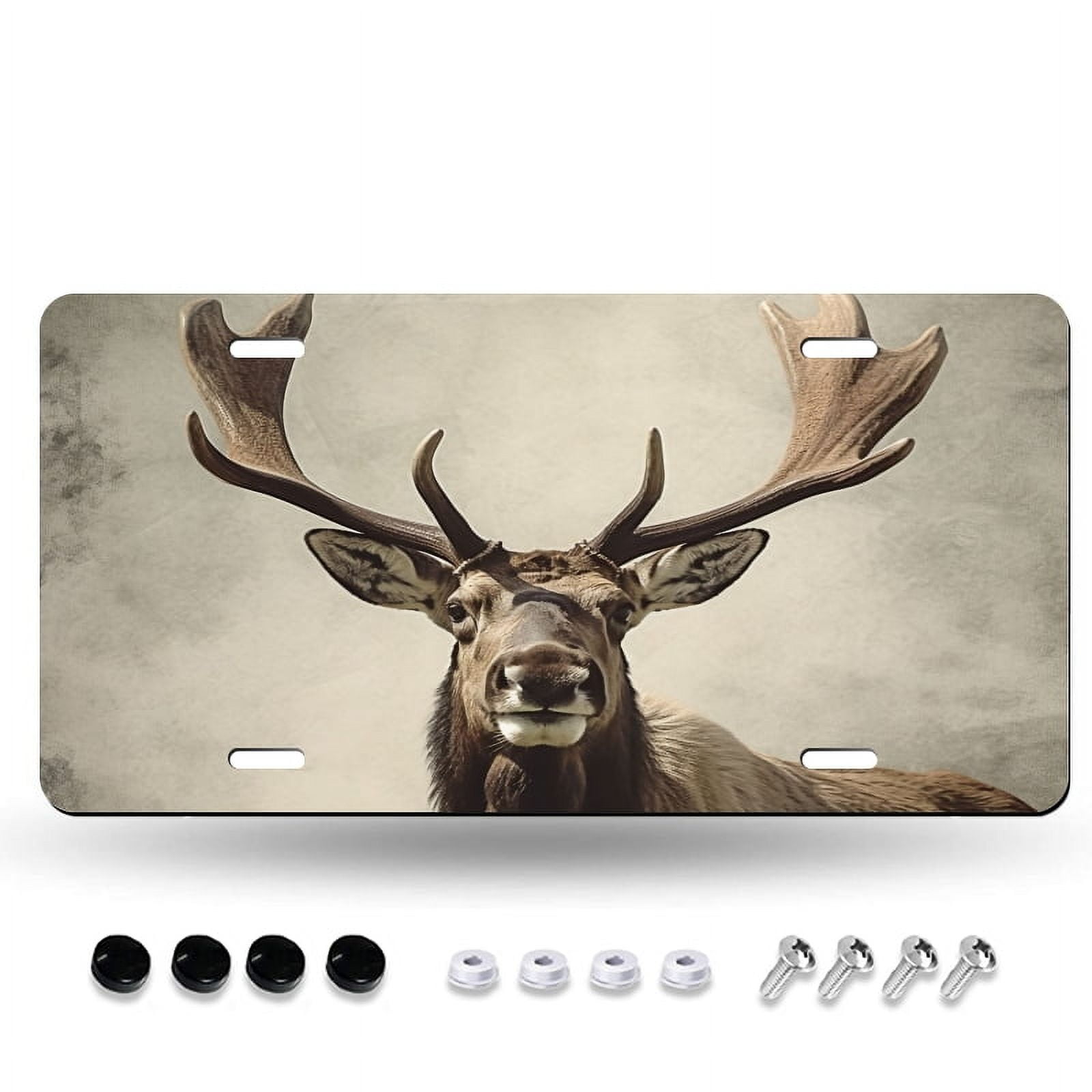 Decorative Stainless Steel License Plate Frame – Unique and Rust-Free ...