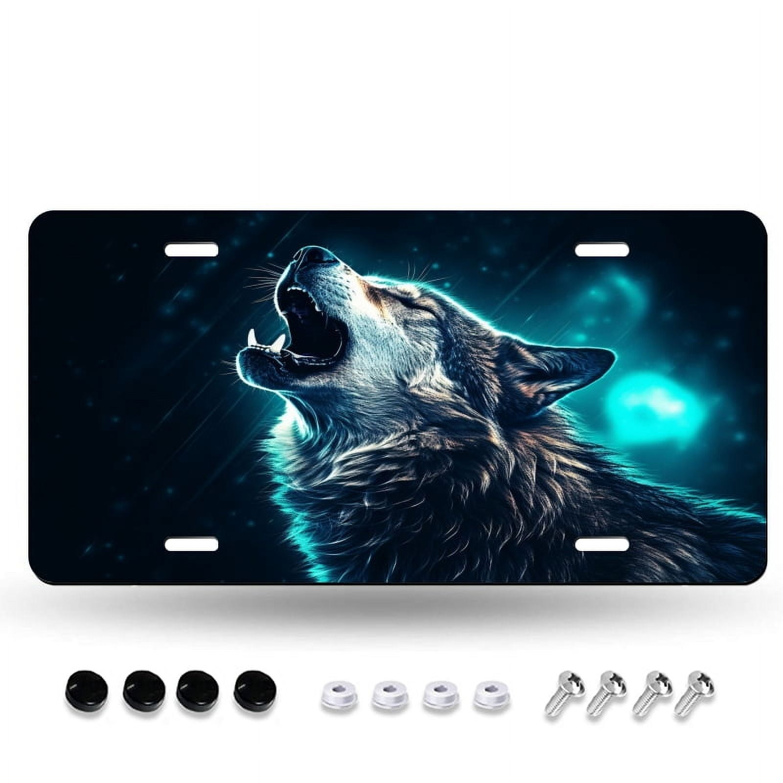 Decorative Stainless Steel License Plate Frame – Unique and Rust-Free ...