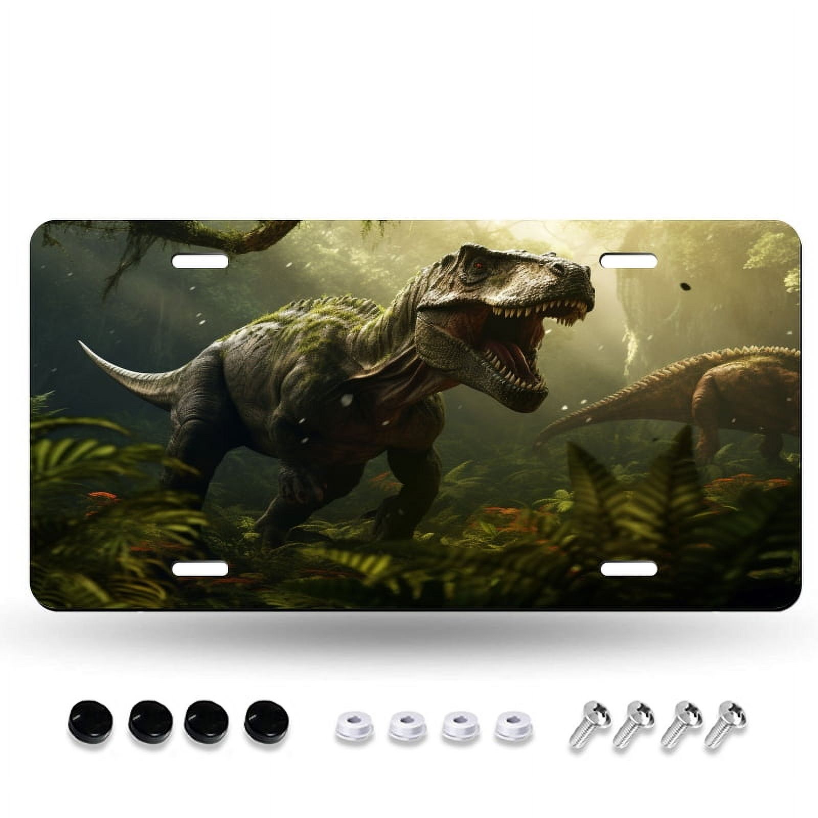 Decorative Stainless Steel License Plate Frame – Unique and Rust-Free ...