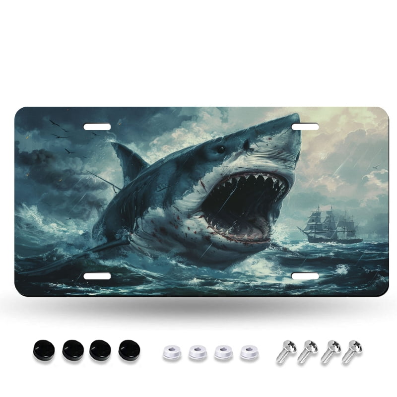 Decorative Stainless Steel License Plate Frame – Unique and Rust-Free ...