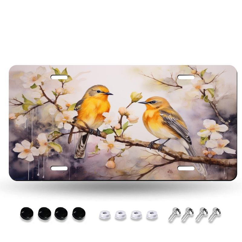 Decorative Stainless Steel License Plate Frame – Unique and Rust-Free ...