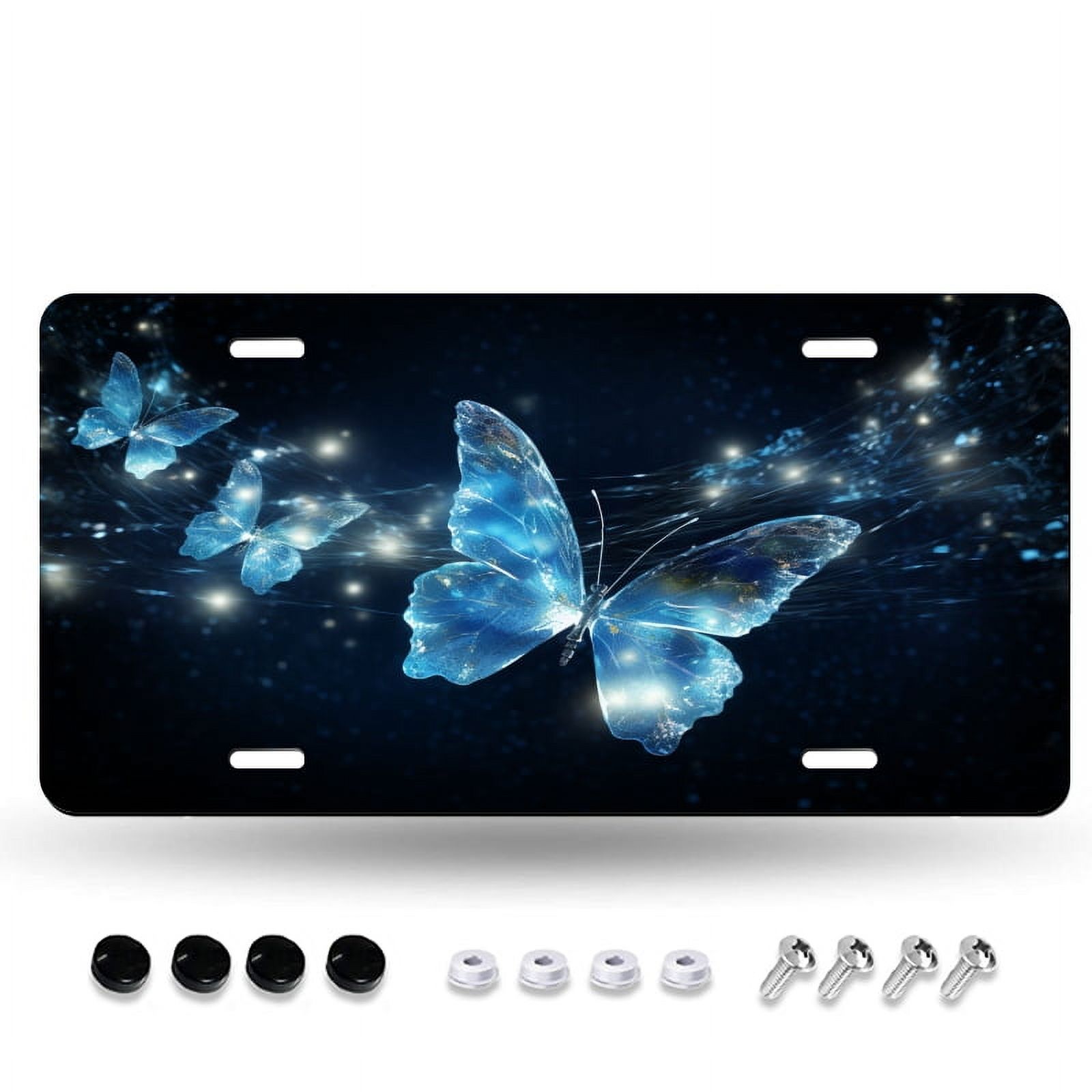 Decorative Stainless Steel License Plate Frame – Unique and Rust-Free ...