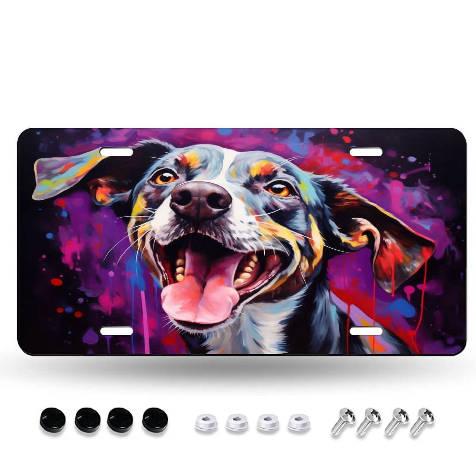 Decorative Stainless Steel License Plate Frame – Unique and Rust-Free ...