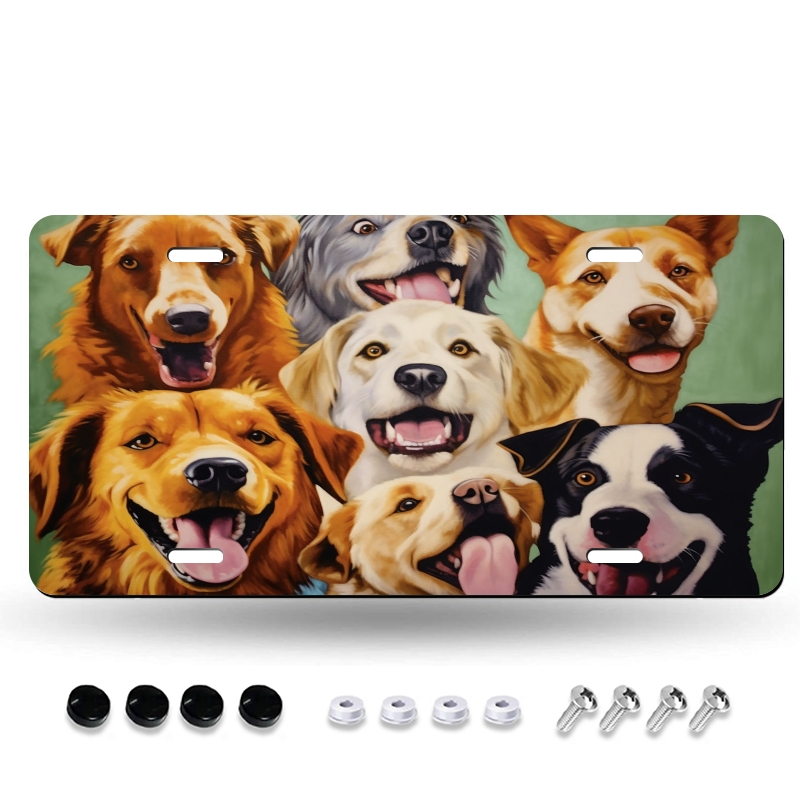 Decorative Stainless Steel License Plate Frame – Unique and Rust-Free ...