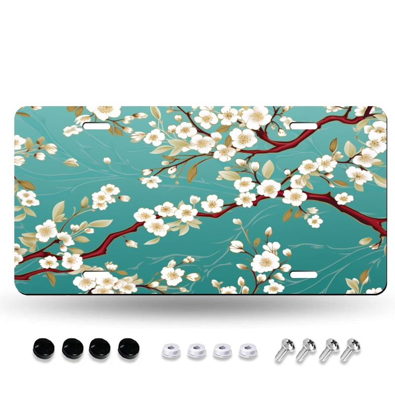 Decorative Stainless Steel License Plate Frame – Unique and Rust-Free ...