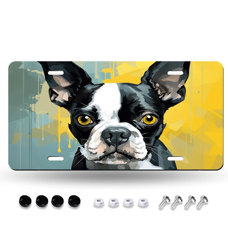 Decorative Stainless Steel License Plate Frame – Unique and Rust-Free ...