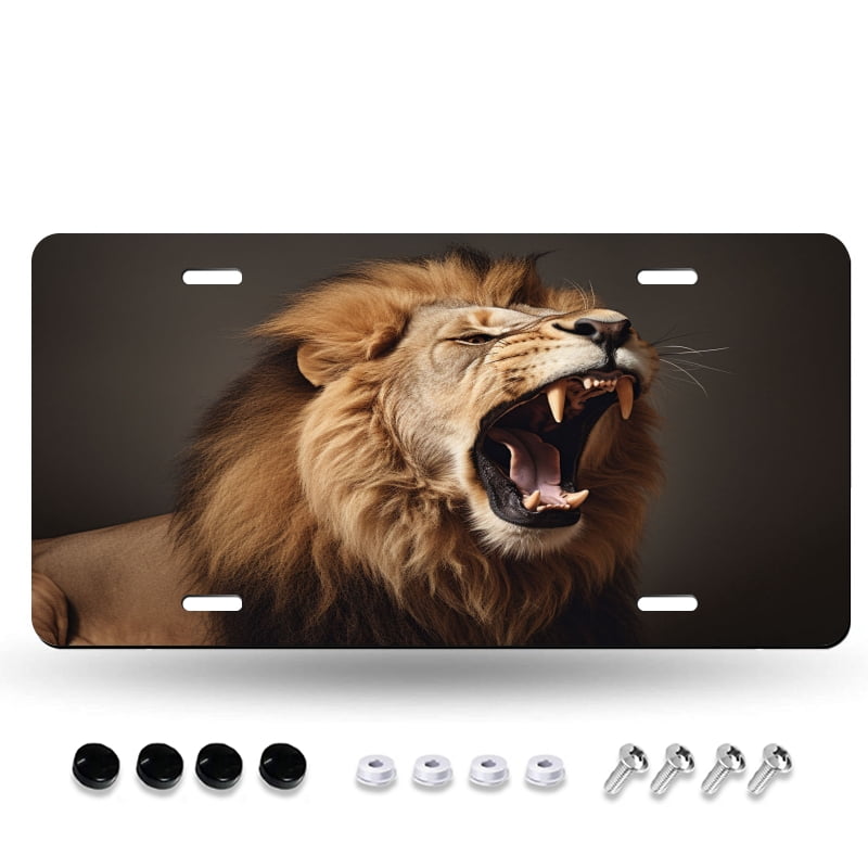 Decorative Stainless Steel License Plate Frame – Unique and Rust-Free ...