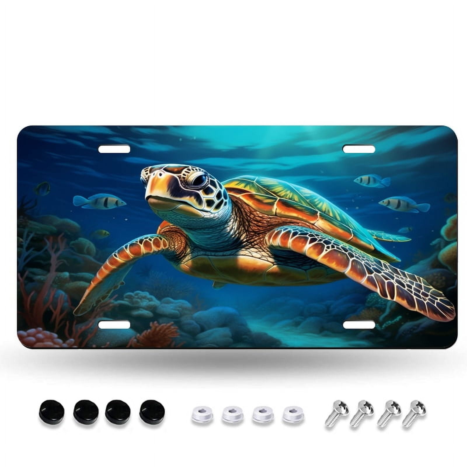 Decorative Stainless Steel License Plate Frame – Unique and Rust-Free ...