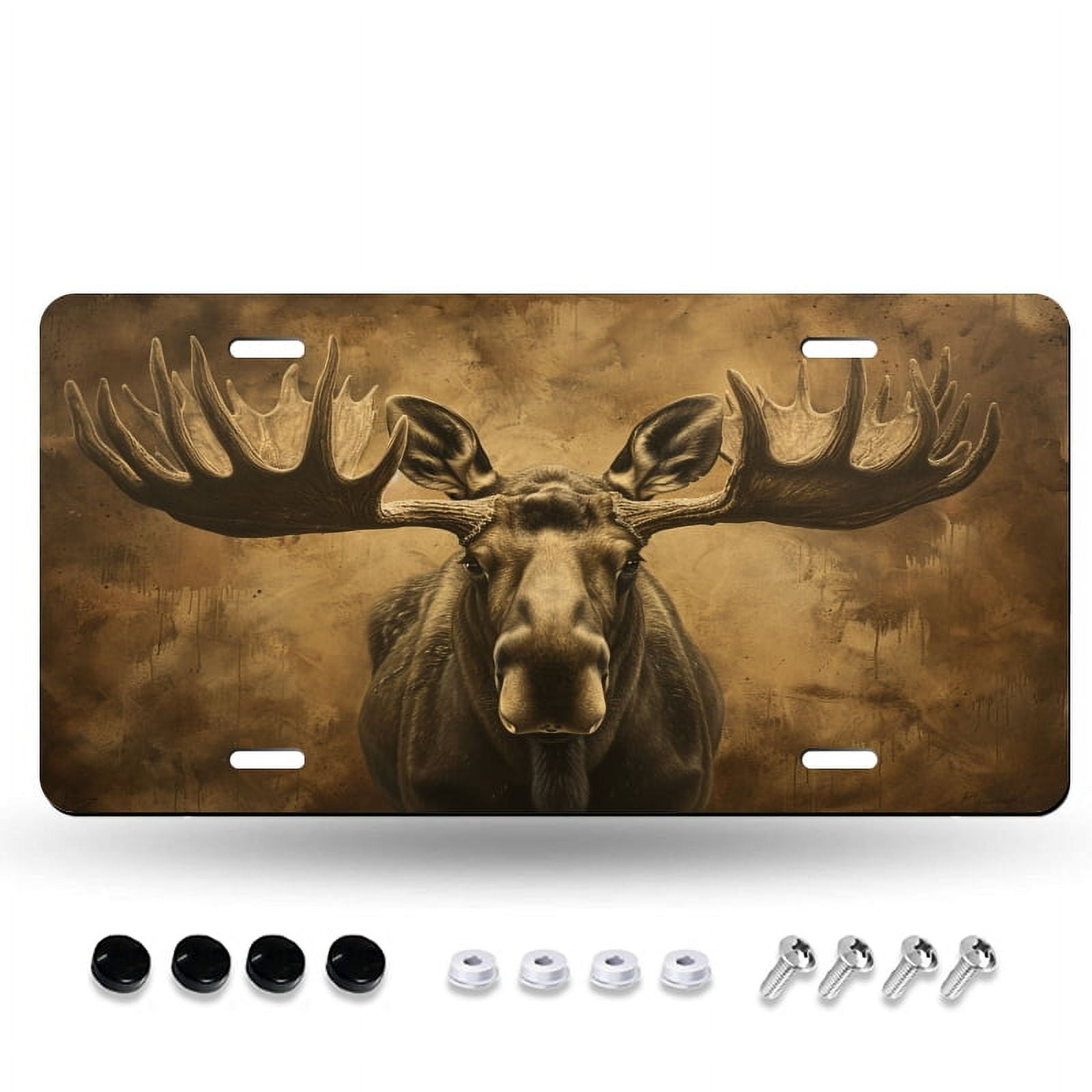 Decorative Stainless Steel License Plate Frame – Unique and Rust-Free ...